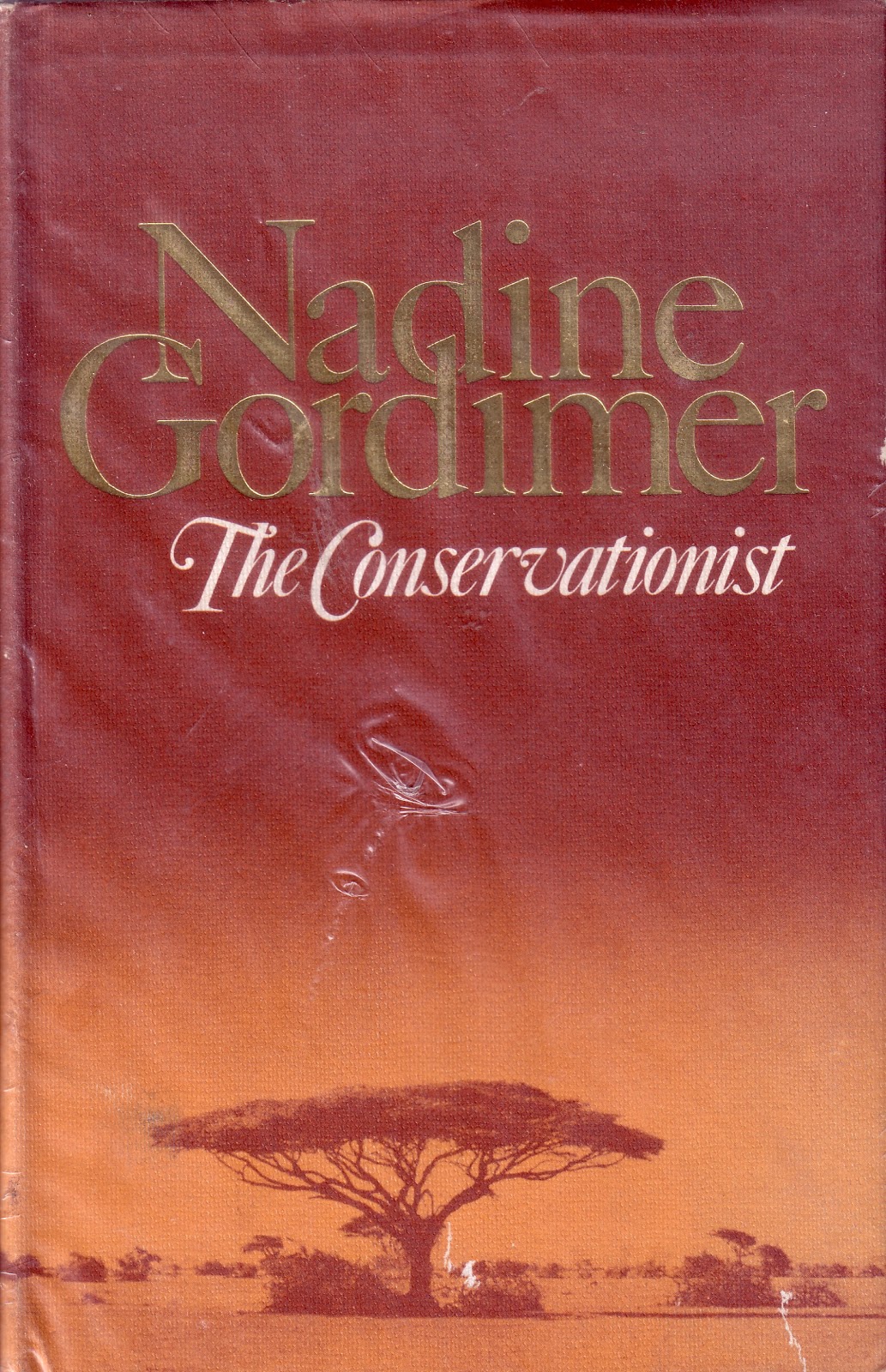 The Conservationist by Nadine Gordimer (Lisa Hill, ANZ LitLovers ...