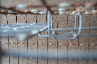 Forest House Farm: DIY Box Trap