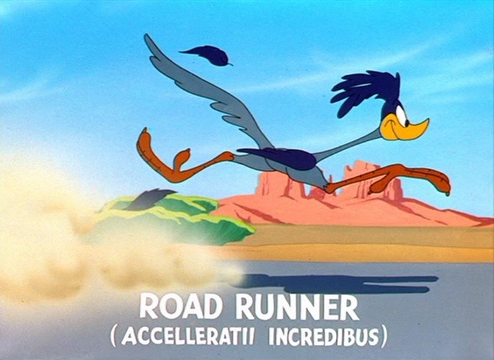 FERNANDO LLERA 'TOONS: BEEP BEEP THE ROAD RUNNER
