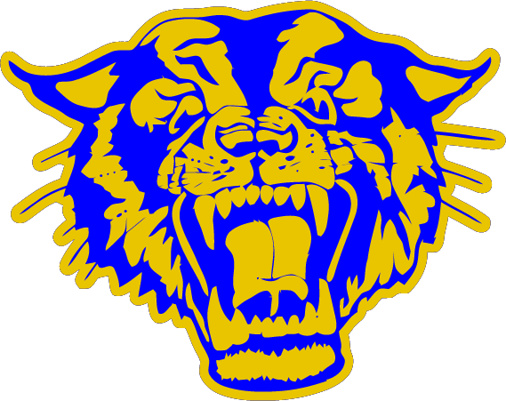 RAYMONDVILLE PROUD ..... GO BEARKATS!