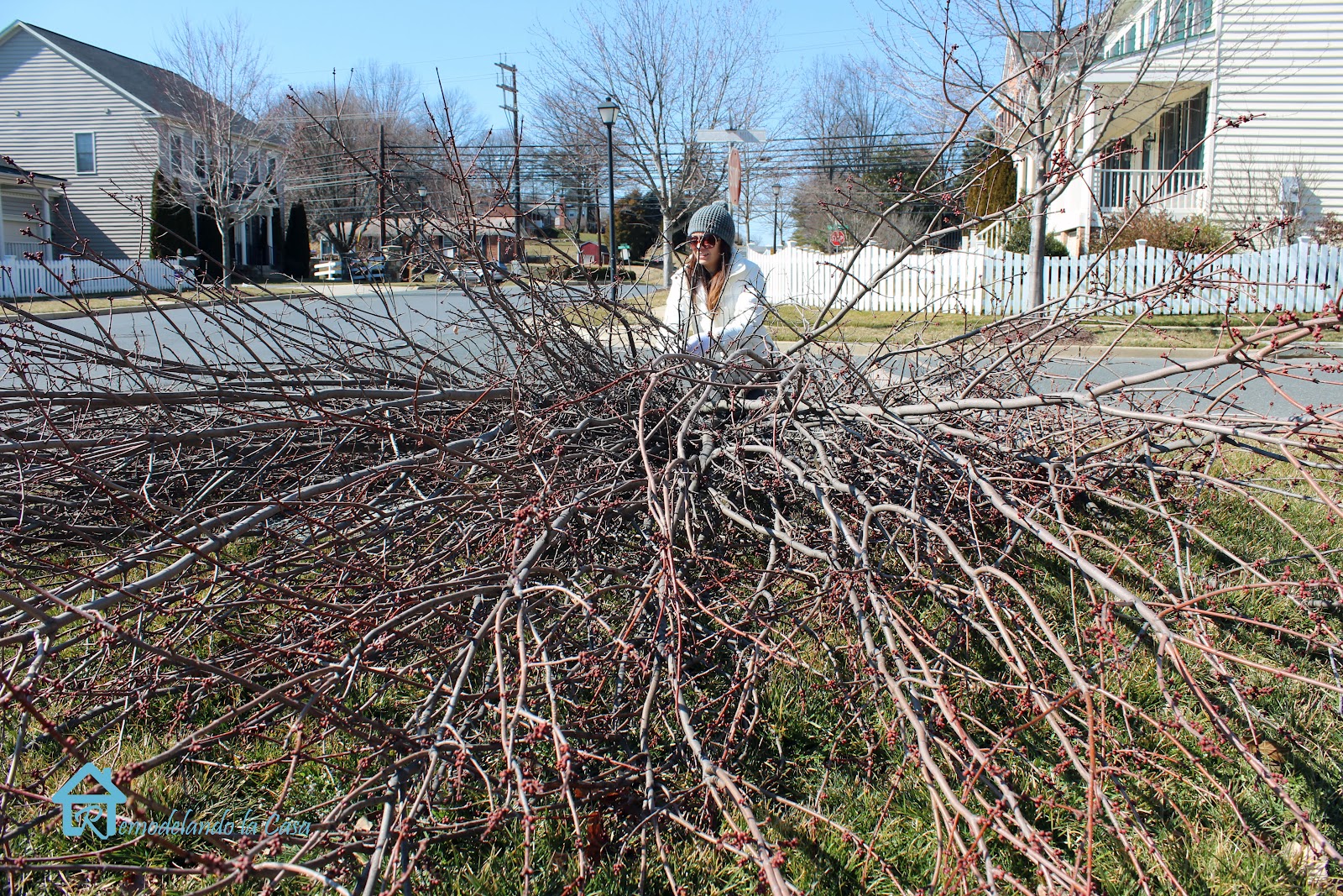 Decorating with Tree Branches - Remodelando la Casa
