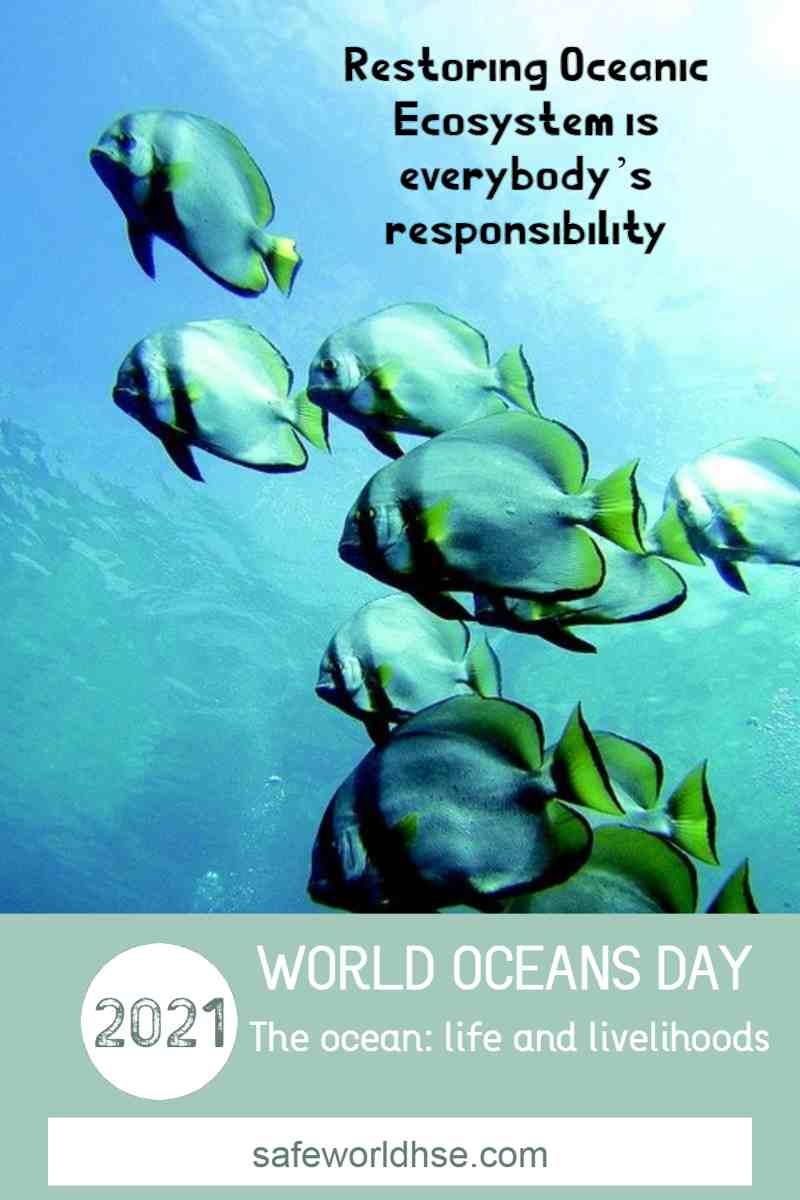 Best Slogans and Quotes on World Ocean Day 2021 with Image messages and ...