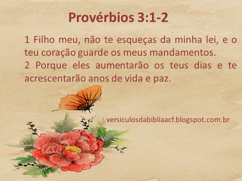 Proverbios 3 1-2 Explicação - LIBRAIN