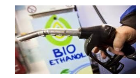 Pengolahan Sawit Menjadi Biotanol - Sains Pangan