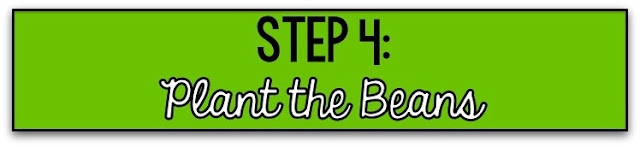 Bean Plant Investigations! - The Primary Punchbowl