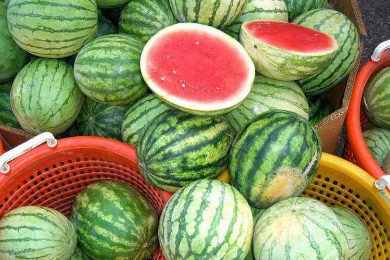 Cara Memilih Tembikai Yang Bagus - Blogbabyshambles.. ♥