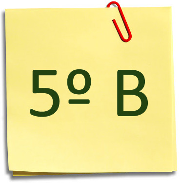 5º B