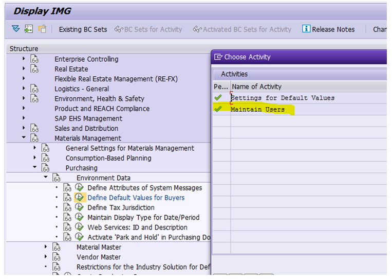 Expert Guidance in SAP MM