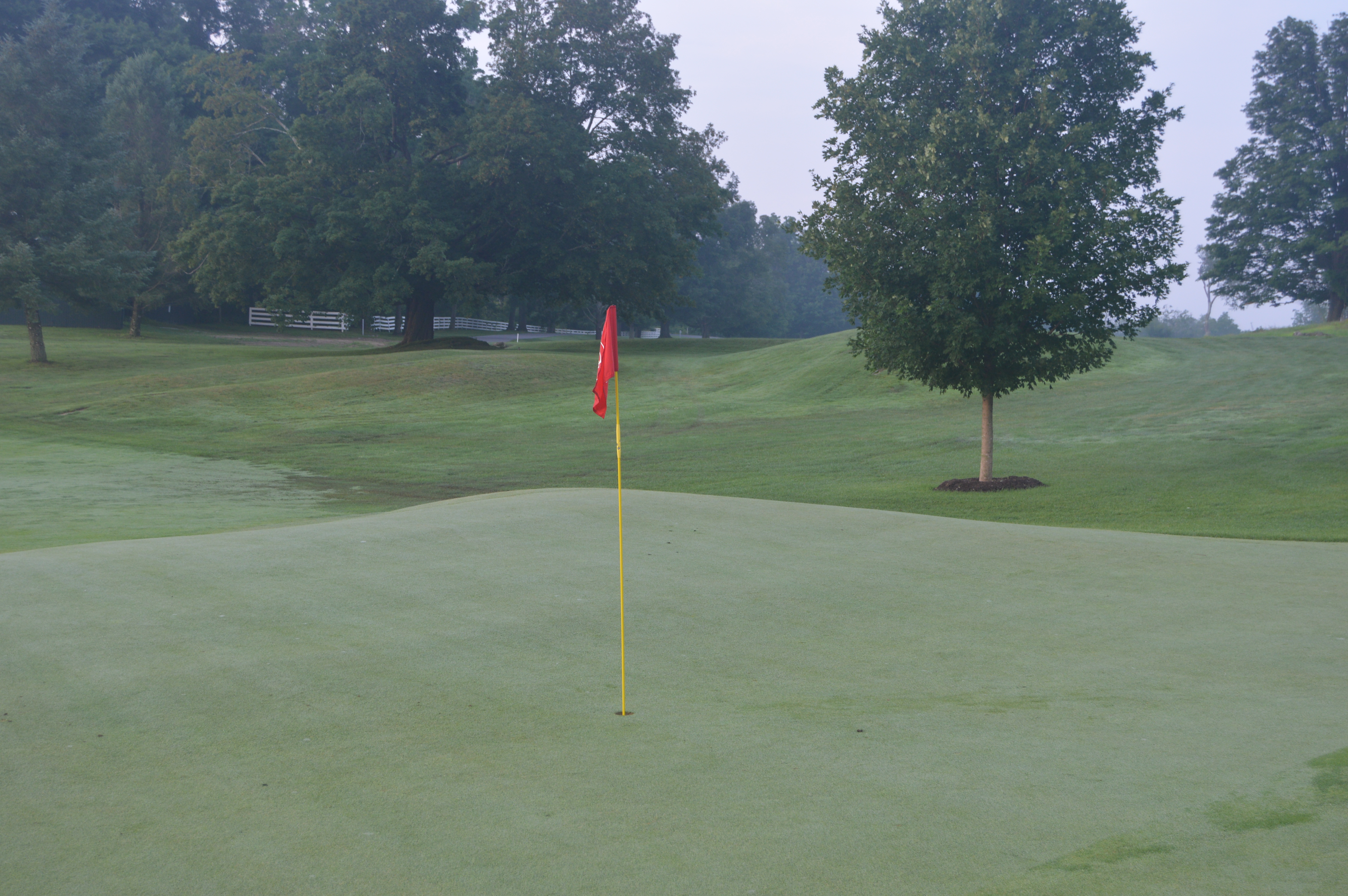 Sharon Country Club Greens