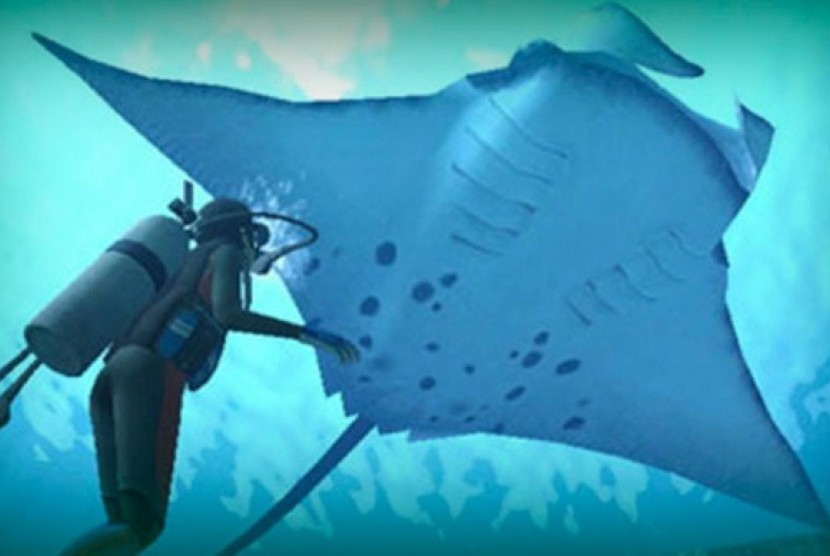 5 Fakta Menarik Ikan Pari Manta Mobula birostris KHAS INDONESIA - ICAL ...