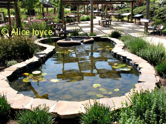 Bay Area Tendrils: Meet me at Cottage Gardens! Wine Country Landscape ...