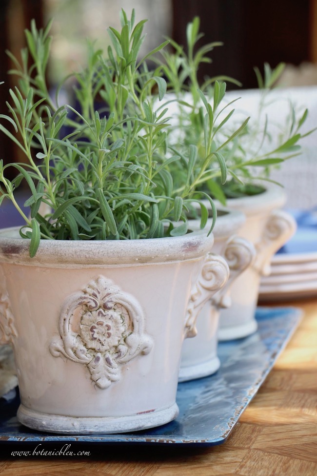 Botanic Bleu: French Gardener Gift Guide