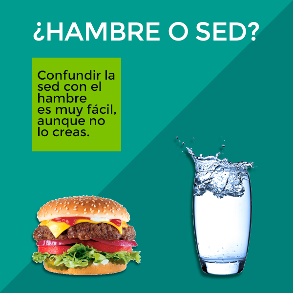 Con la Salud NO se Juega: No confundas tener sed con tener hambre