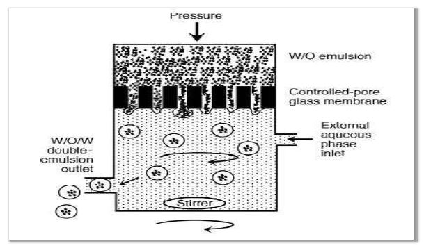 SPECIALIZED PHARMACEUTICAL EMULSIONS