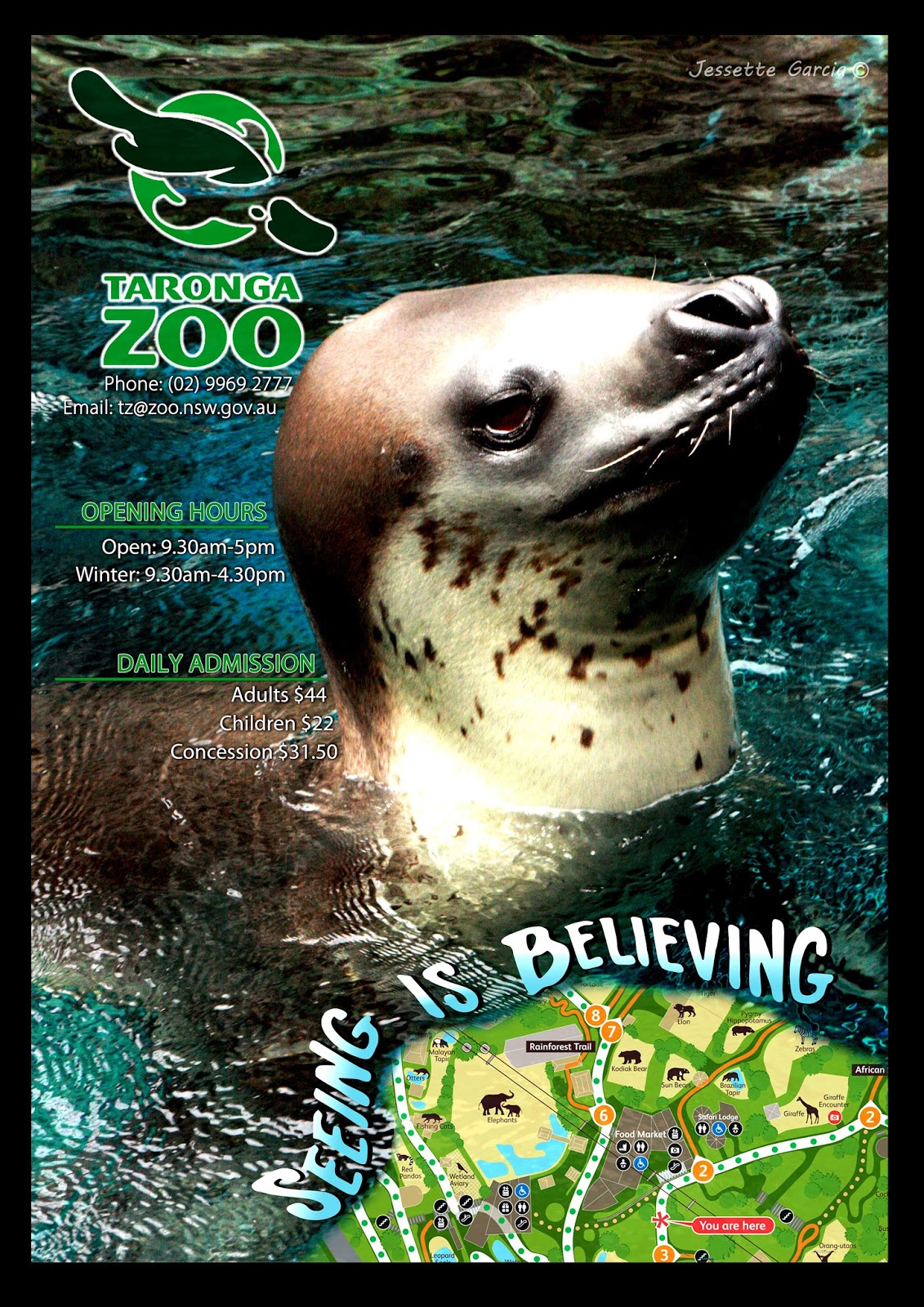 Animal Photography - Zoo Poster