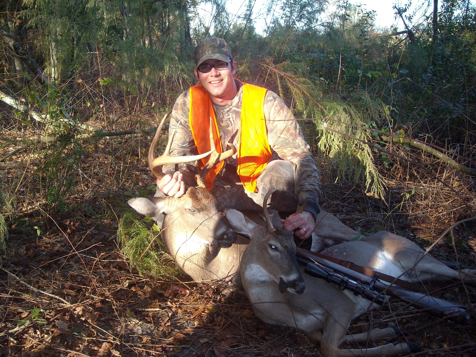 Real Life Outdoors: Managing Your Deer Property: Sometimes Less is More
