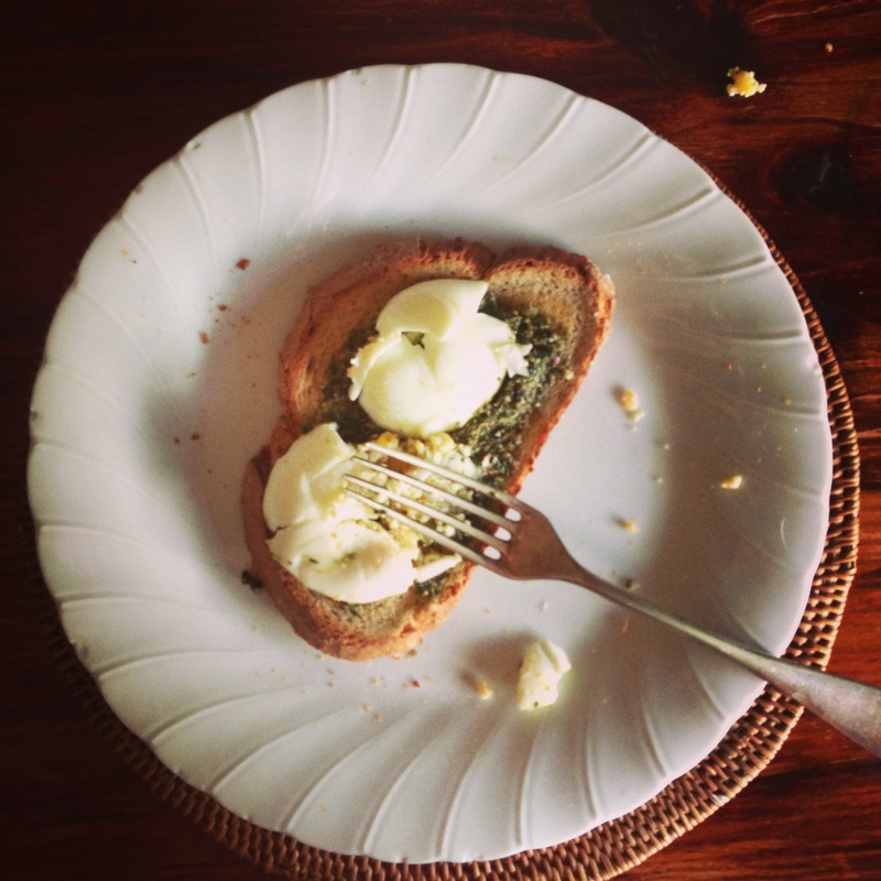 The Week That Was :: Paddington Bear + Pesto + Mountain lions + Sweet ...