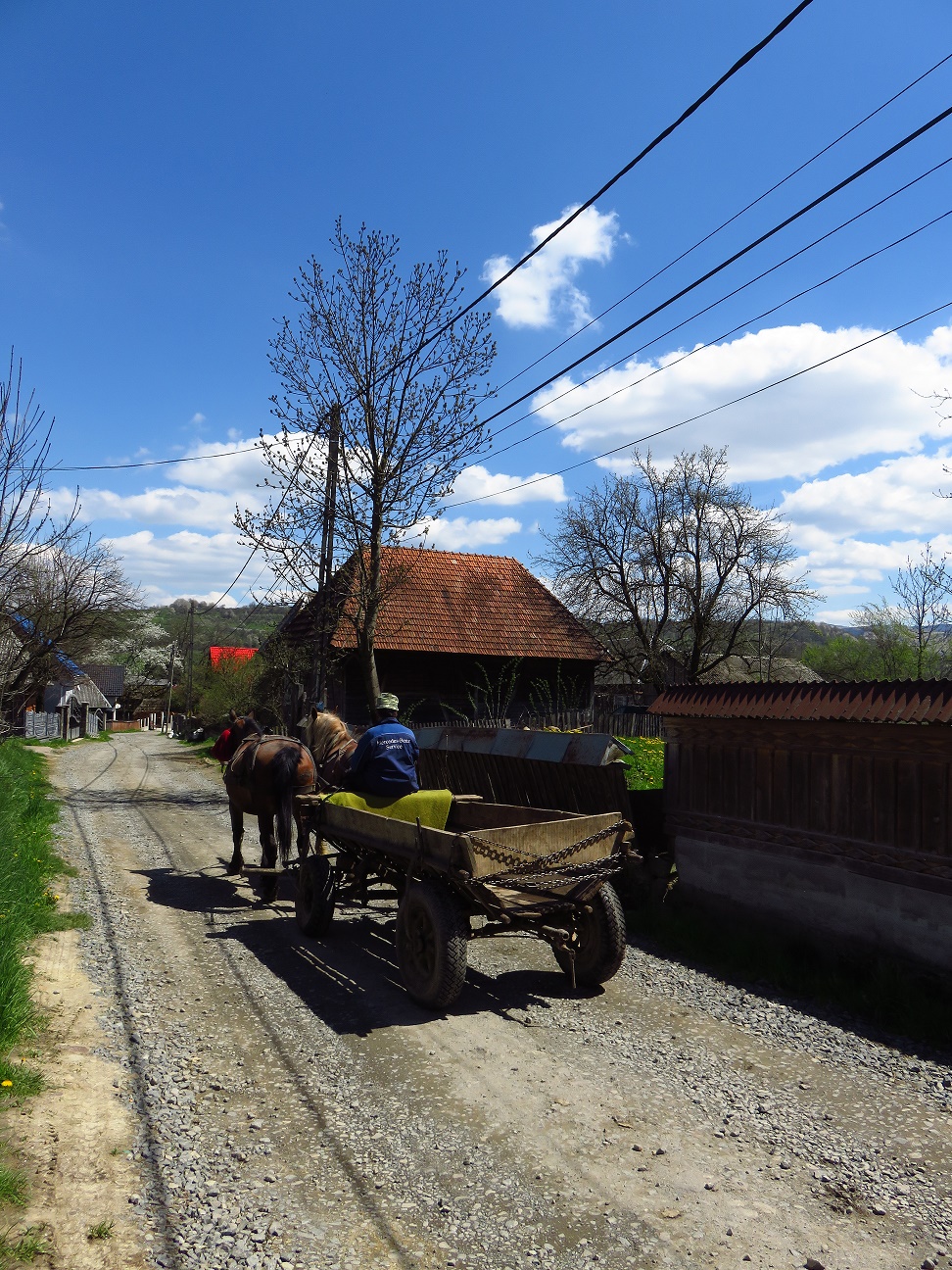 Jurnal de Calatorii: SATUL BREB (MARAMURES- ROMANIA) ÎN IMAGINI - 2021