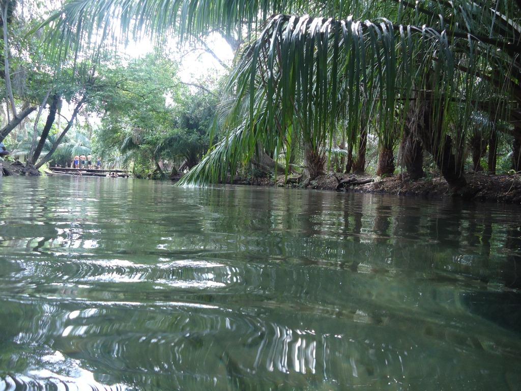 Roboré es Turismo: AGUAS CALIENTES EN EL LUGAR LLAMADO "EL PUENTE"