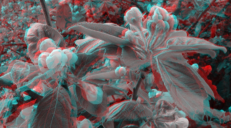 3D Technologies And 3D Images And Wallpaper Download