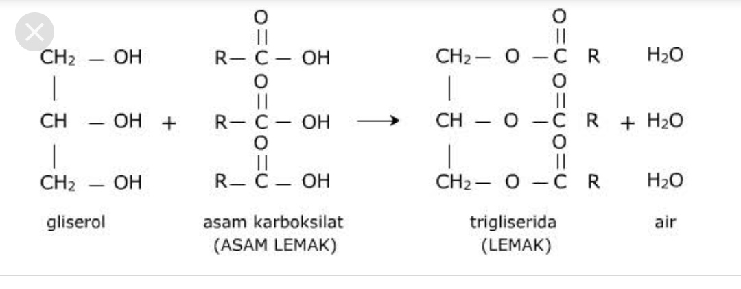 Komponen Kimia Penyusun Sel