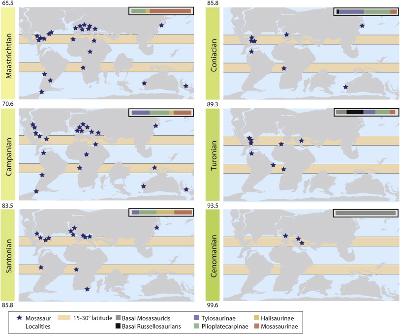 The Dragon's Tales: Drivers of Mosasaur Evolution