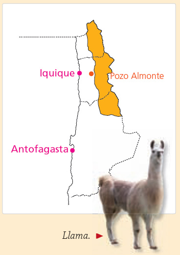 Pueblos del Norte | Pueblos Originarios en Chile