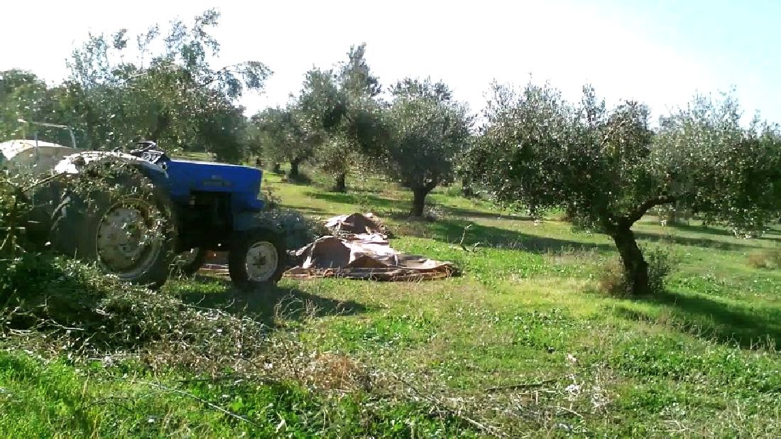 ΧΑΛΚΙΔΙΚΗ ΕΛΛΑΔΑ ΜΑΚΕΔΟΝΙΑ (halkidikigr): Ορμύλια: Συγκροτήθηκε ...