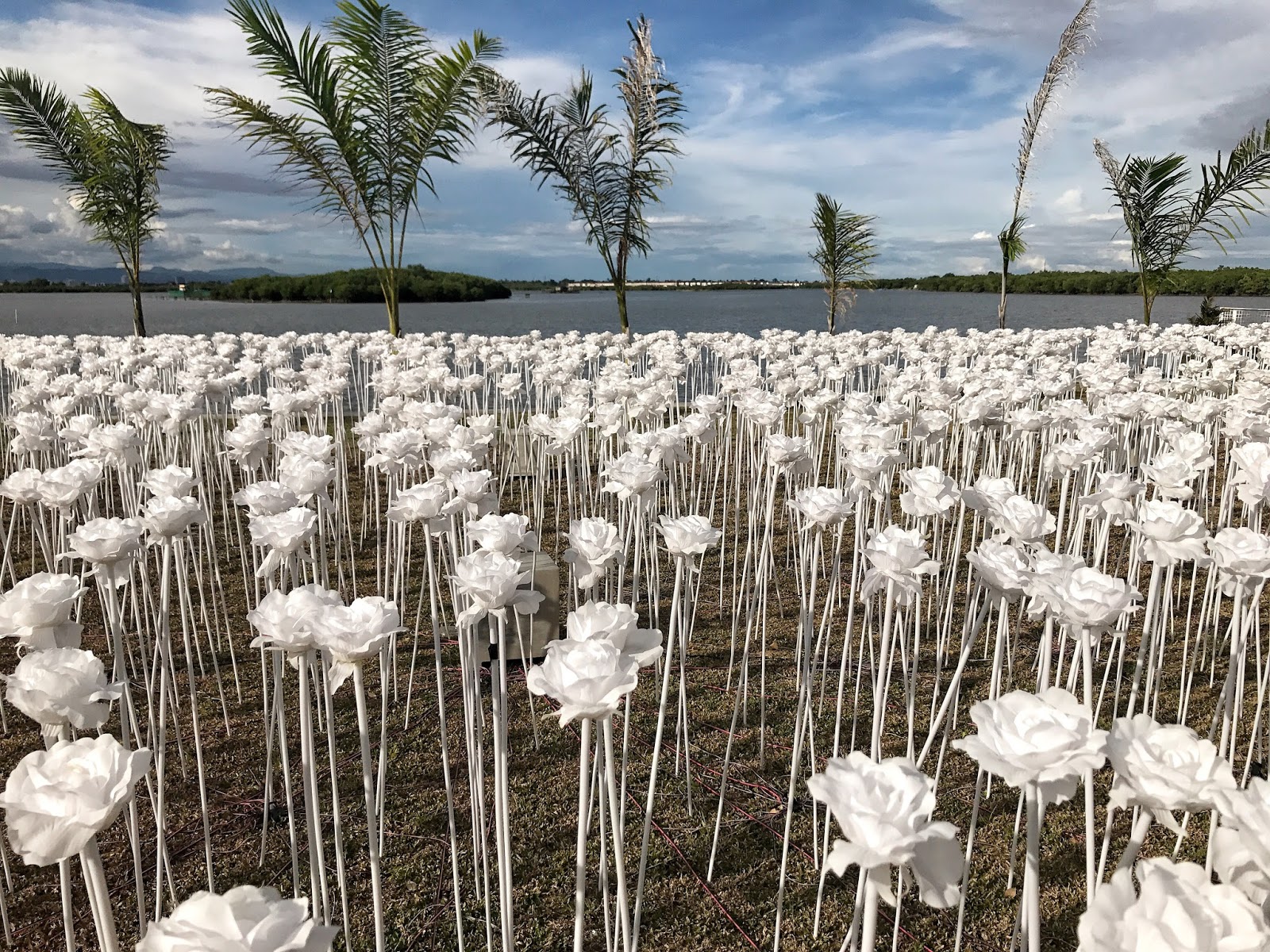 What Mary Loves: When in Cebu: 10,000 Roses Café