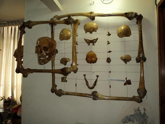 HALLAN MÁS DE 400 RESTOS ÓSEOS EN CASA DE ODONTÓLOGO EN PERÚ