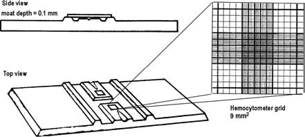 [Haematology] Introduction to Body Fluids | Free Medical Atlas