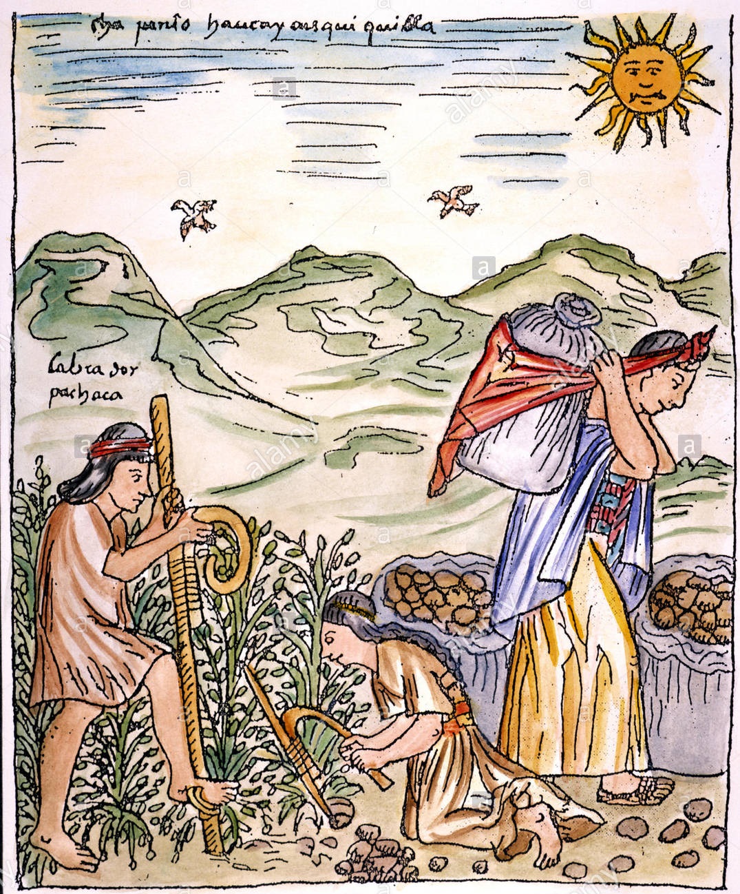 Portal dos Mitos: Axomama