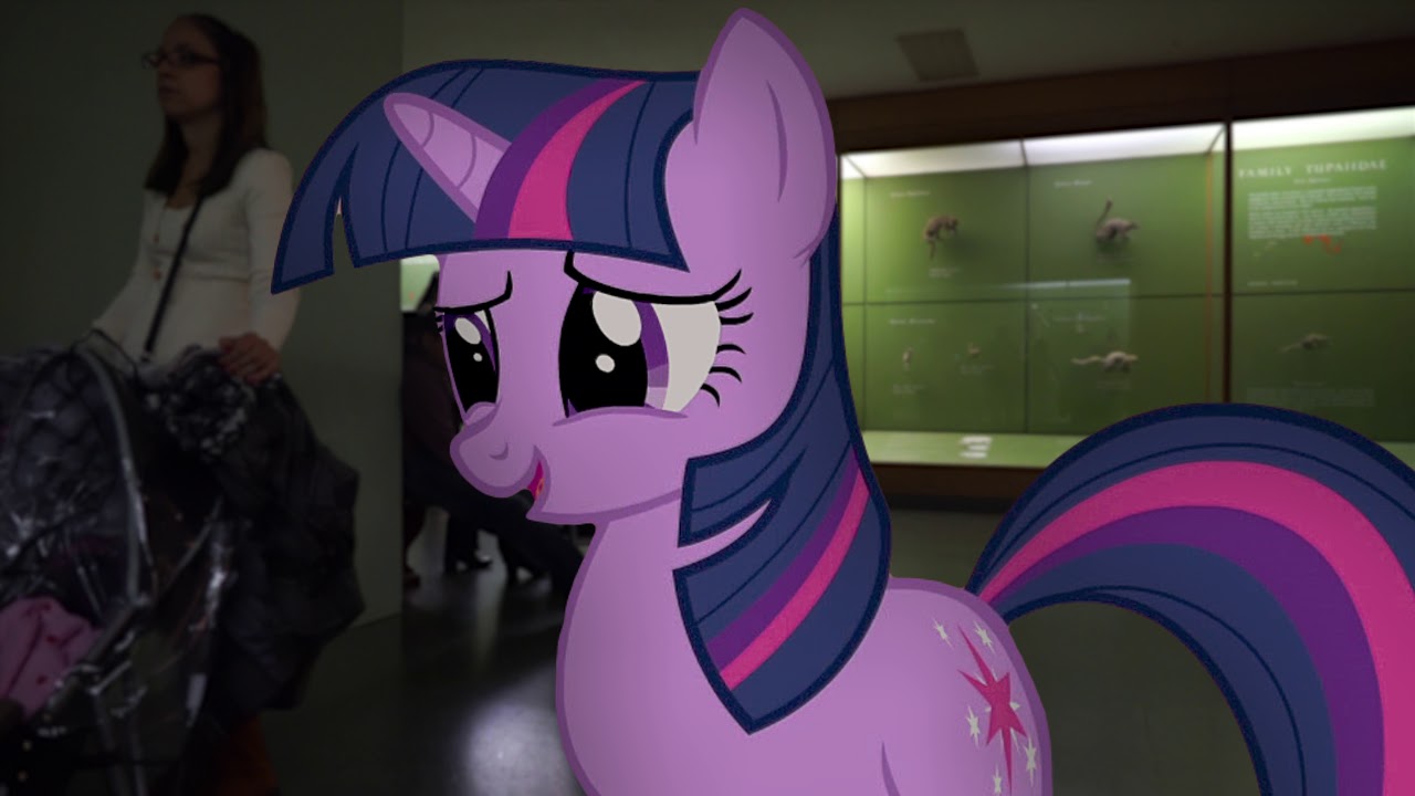 Equestria Daily - MLP Stuff!: Ponies in Real Life: Applejack's Reaction ...