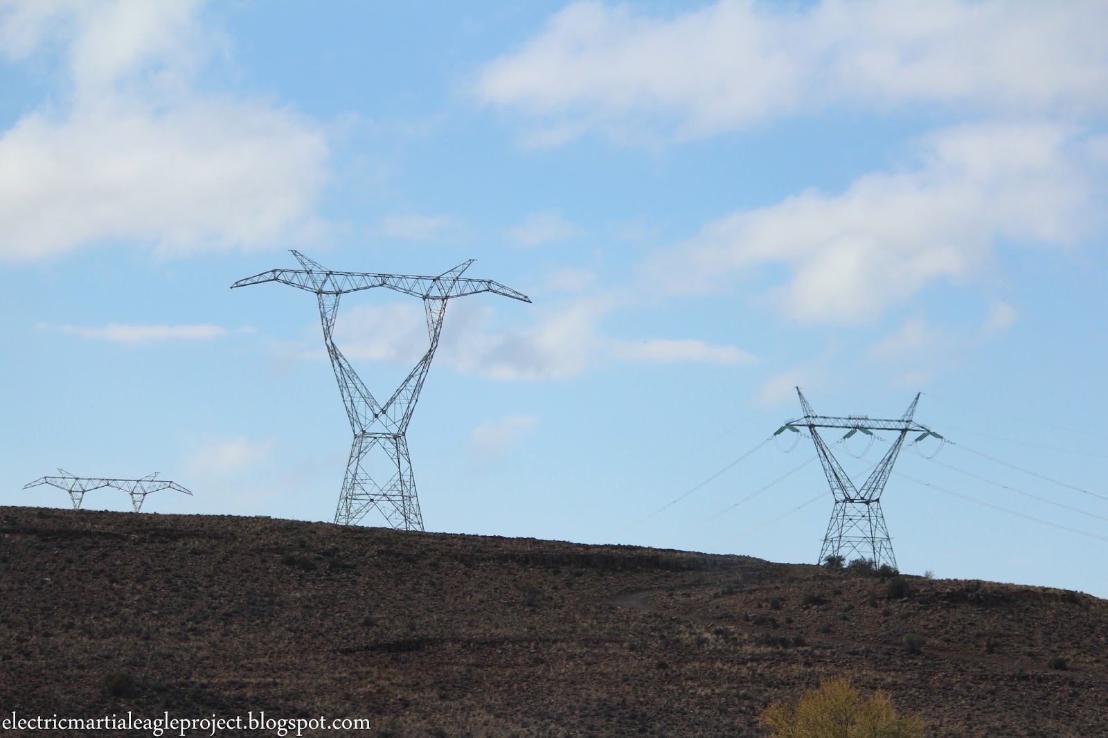 The Electric Martial Eagle Project : 2013