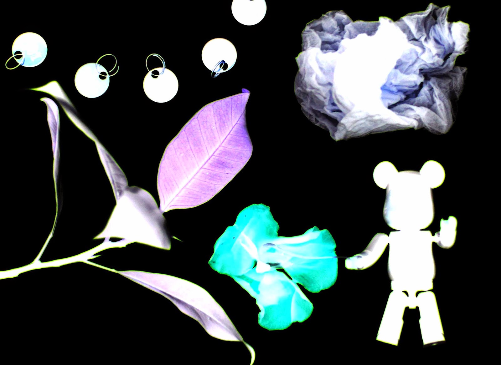 Here's Hoping It's Useful!: How To Make a Digital Photogram