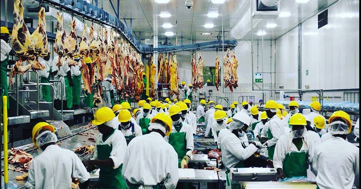 Namibia is the First African Country to Export Beef to US - Brand Icon ...