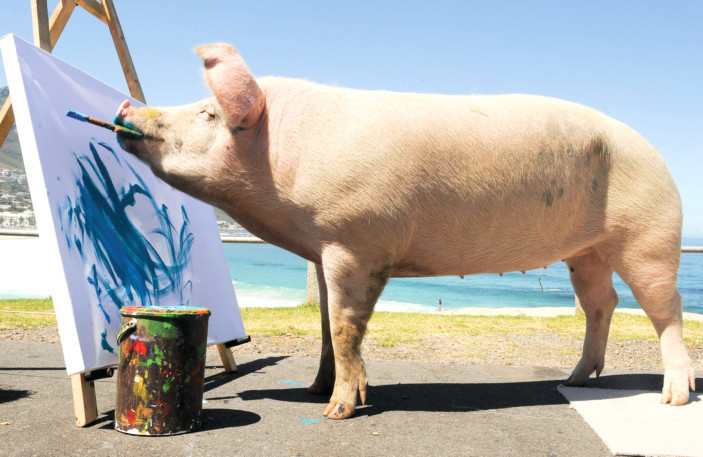 Gaspar, El Lugareño: Pigcasso