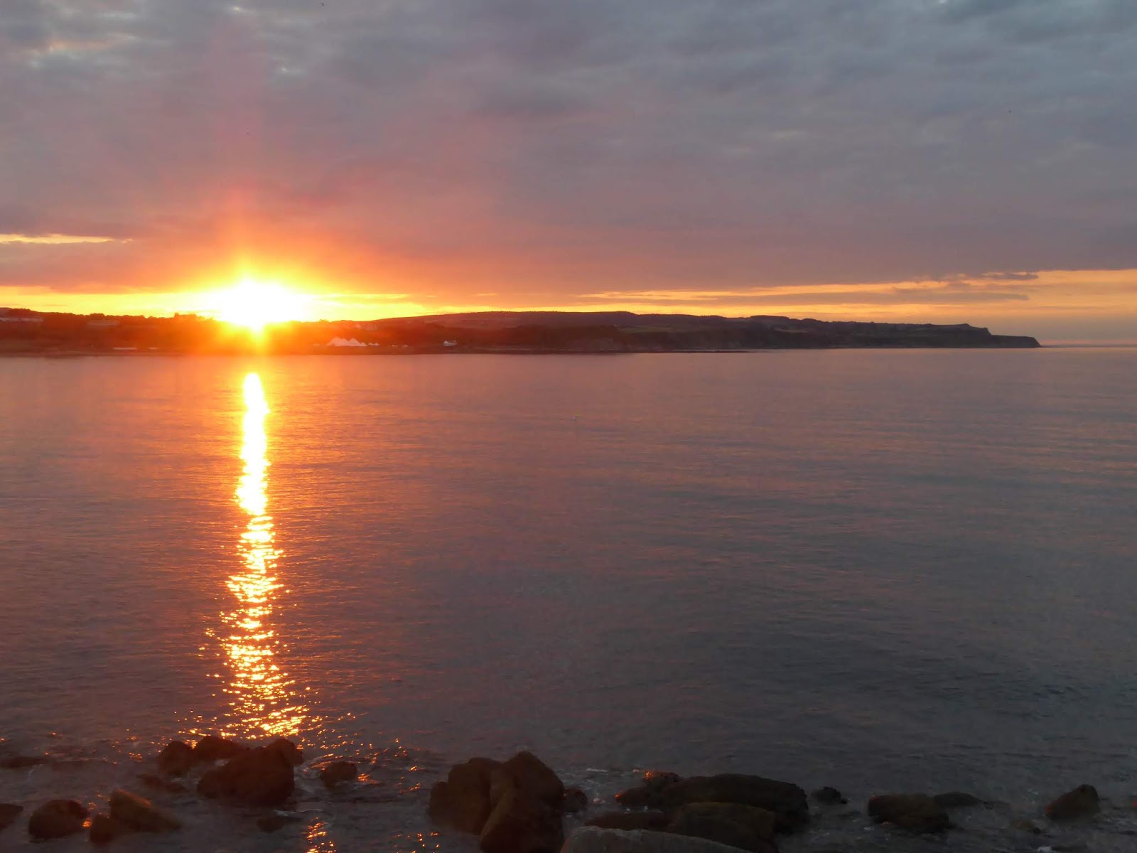 Wild and Wonderful: Northern Holiday 2018, Post 6: Puffin Quest at RSPB ...