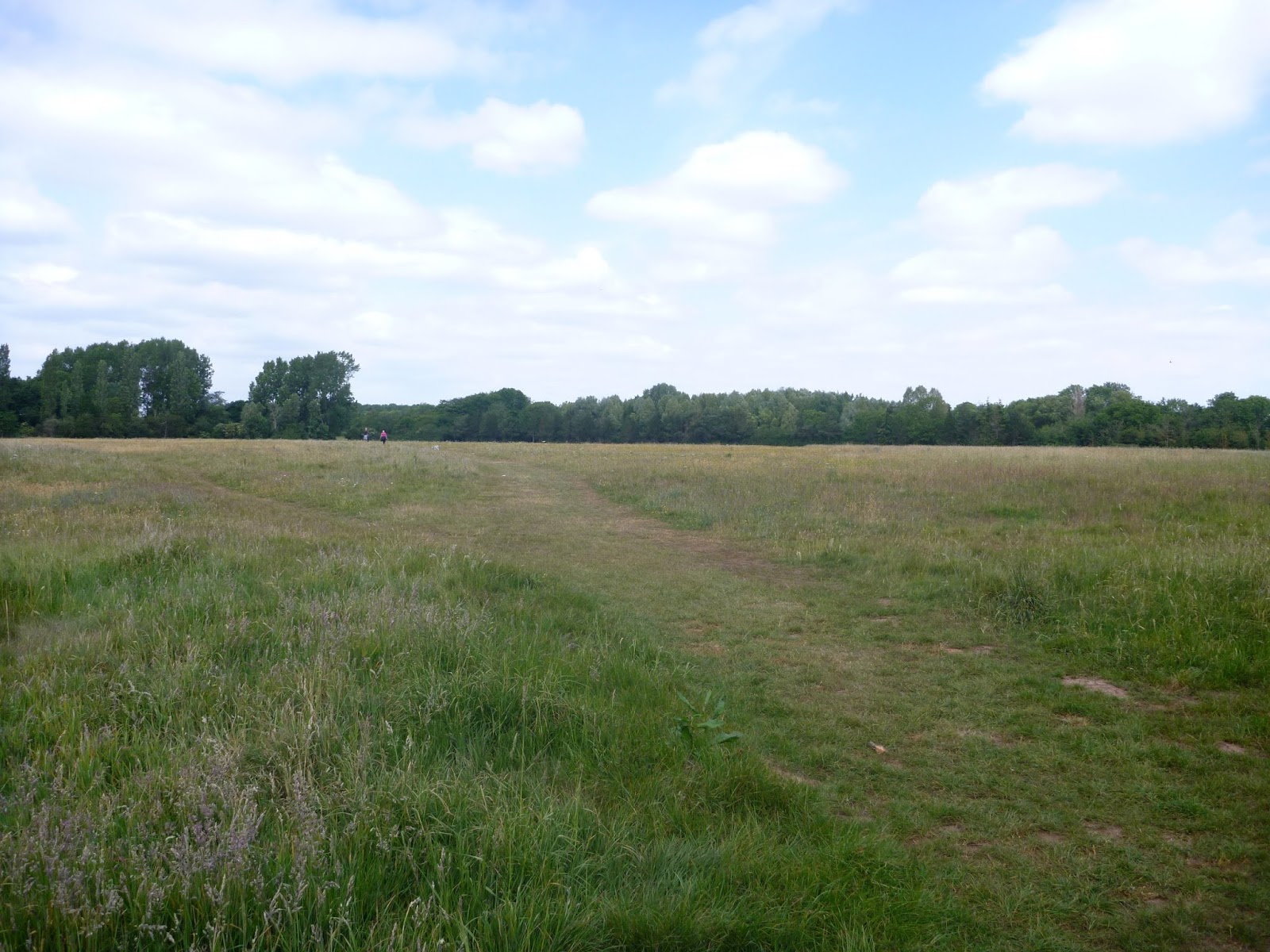 A Place Called Space: Newbold Comyn - the Wetlands
