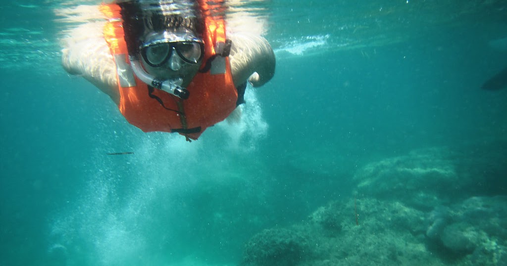Uncovering the treasures of Balintang Channel from Calayan Group of ...