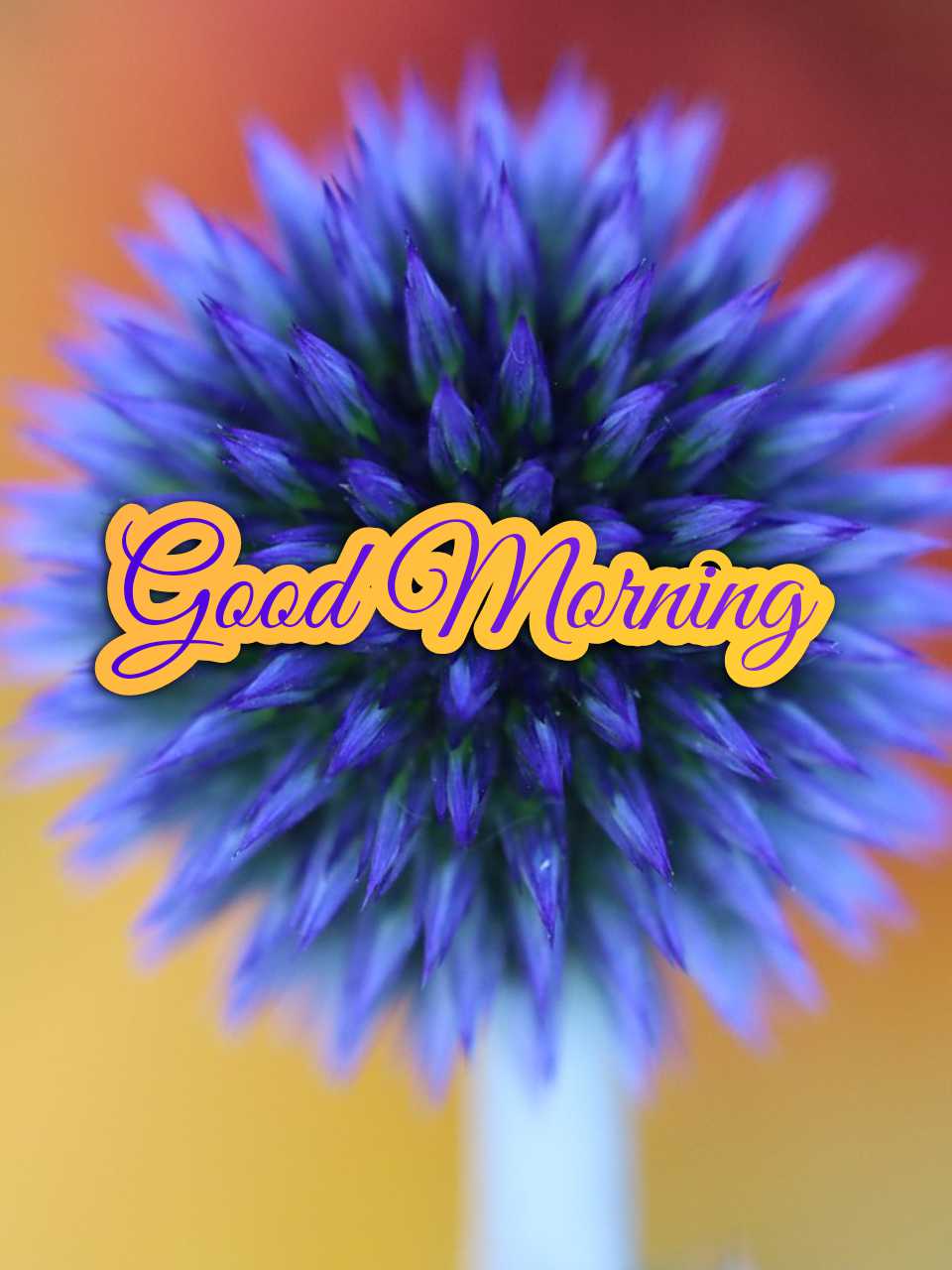 Good morning images Latest new hd pic for whatsapp & social media.