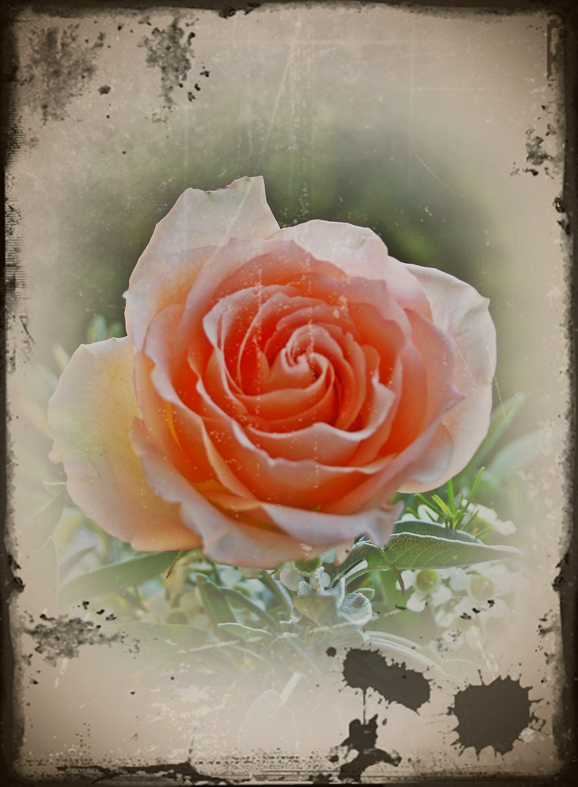 Ilmaisia kuvituskuvia: Ystävänpäivä kuvia