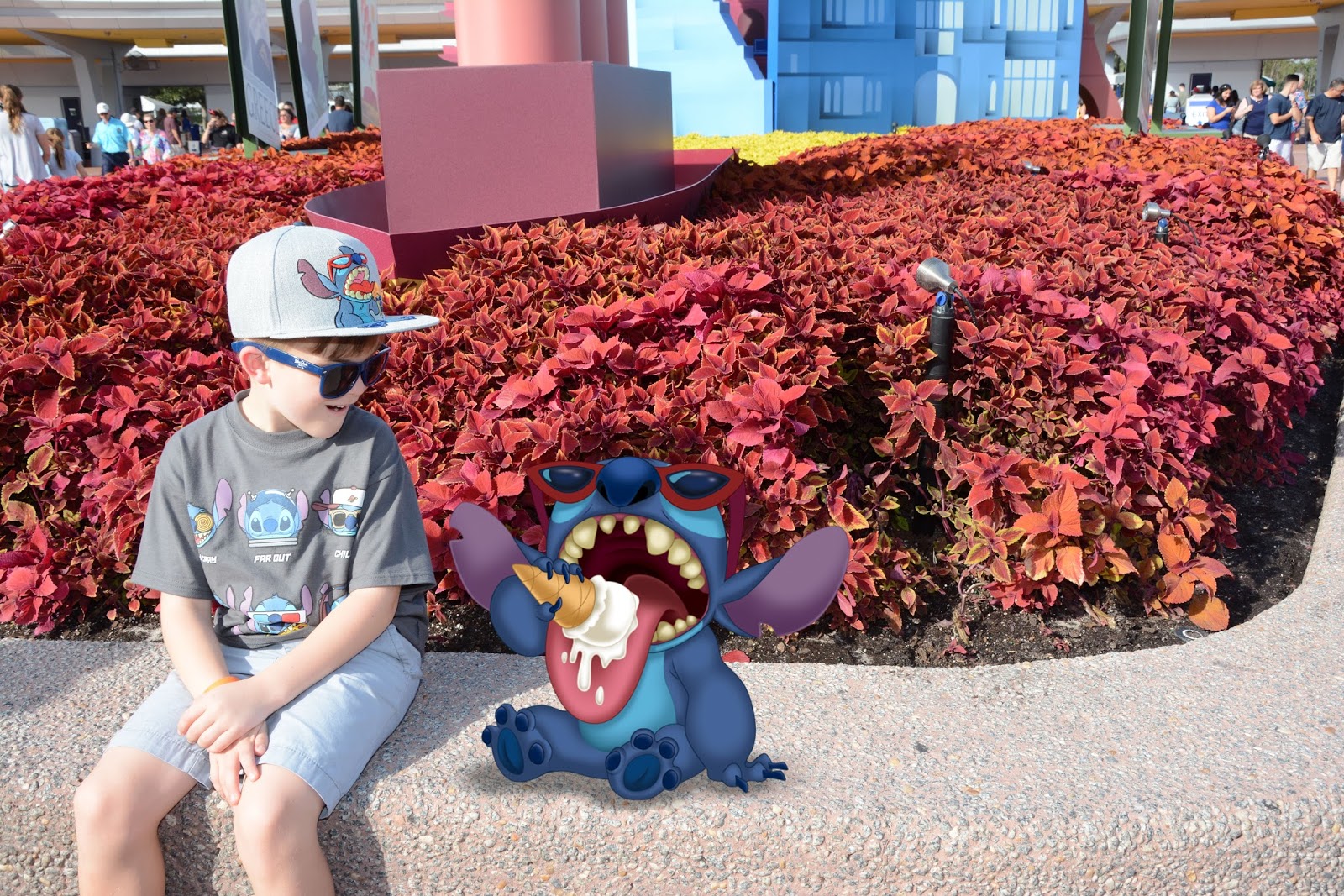 Journey with Birdy: Disney's Memory Maker Photo Package