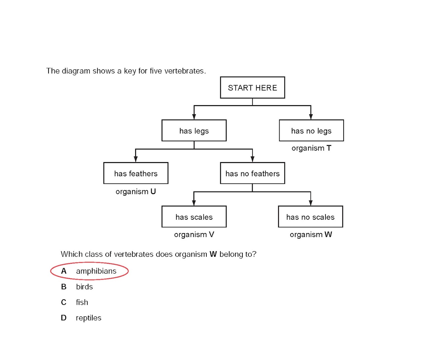 Characteristic and Classification of Living Organisms Paper 2 Solved ...