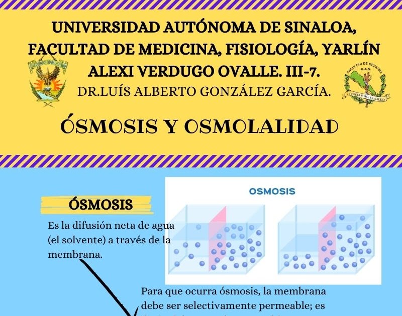 Infografía Ósmosis y Osmolalidad