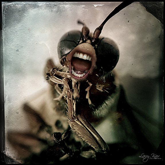 descent into the cave of the rabbit