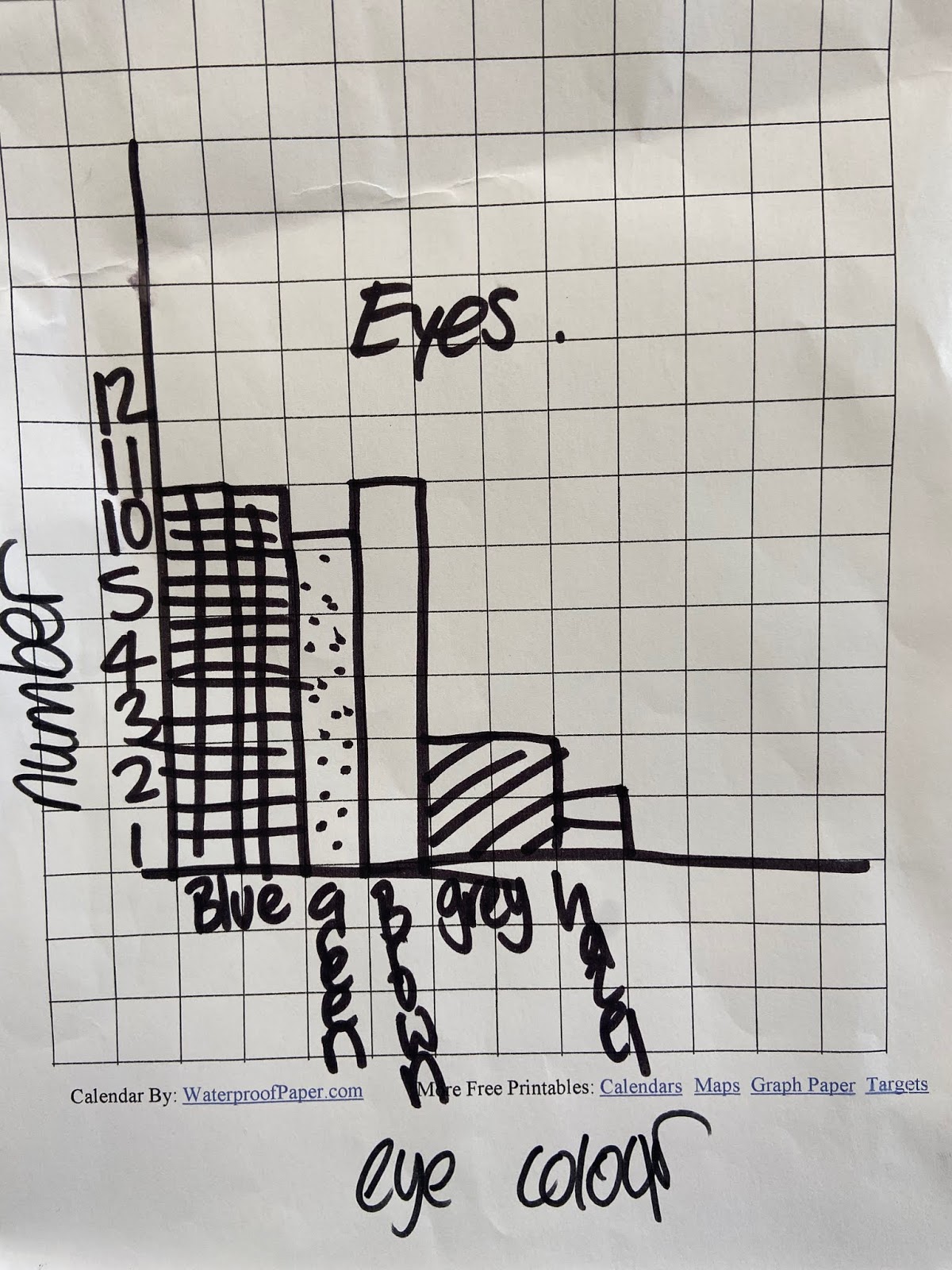 Toroa Hub @ Marshland School: Beautiful Bar Graphs