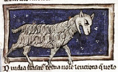 Iconos Medievales : La leucrota