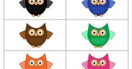 The Best of Teacher Entrepreneurs III: FREE MISC. LESSON - “Owl Color ...