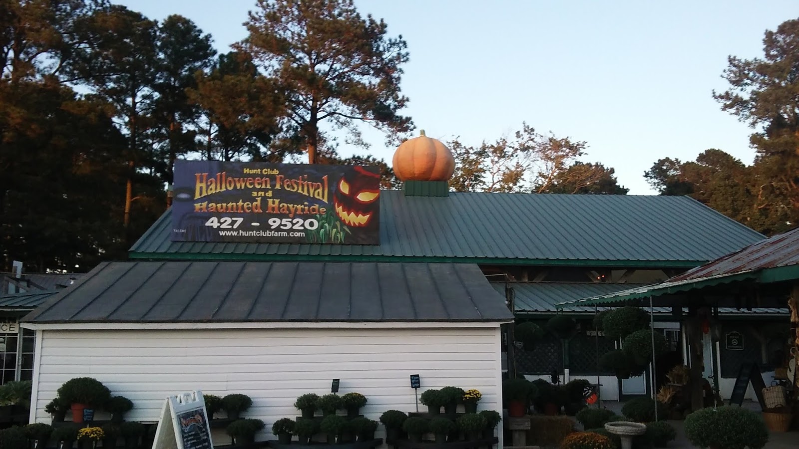 CELTIC PUMPKIN: Haunted Hunt Club Farms 2018